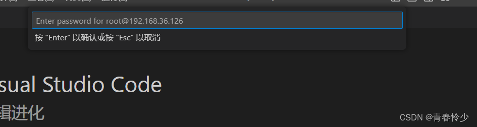 Vscode连接Linux服务器(Ubuntu16.04)_vscode 访问linux服务器-CSDN博客