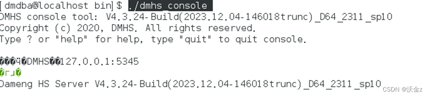 达梦数据库dmhs搭建启动所遇问题解决_达梦服务无法启动-CSDN博客