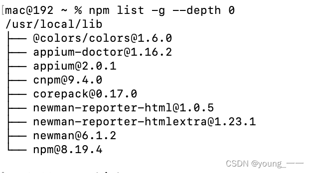 newman下载安装-CSDN博客