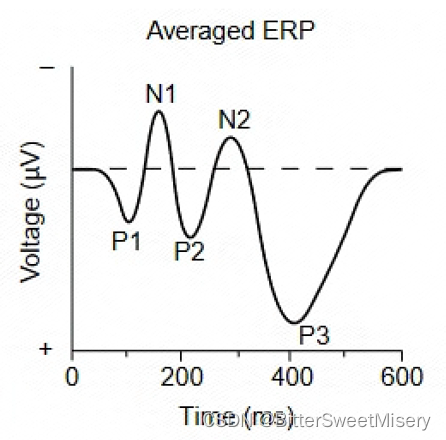 基于MATLAB提取脑电成分的50%峰潜伏期——以P1和N1成分为例_脑电p1-CSDN博客