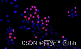 荧光/菁染料CY7标记3-羟基丁酸 CY7-3-HB Cyanine7-3-羟基丁酸 近红外光染料CY7修饰3-羟基丁酸-CSDN博客