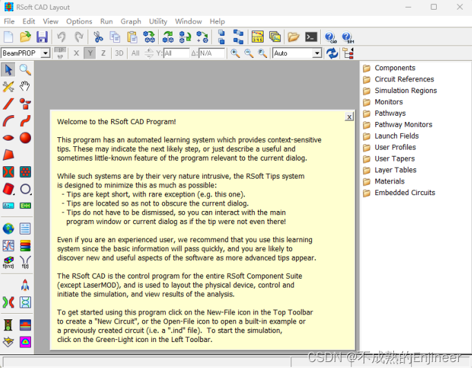 Rsoft软件安装教程-CSDN博客