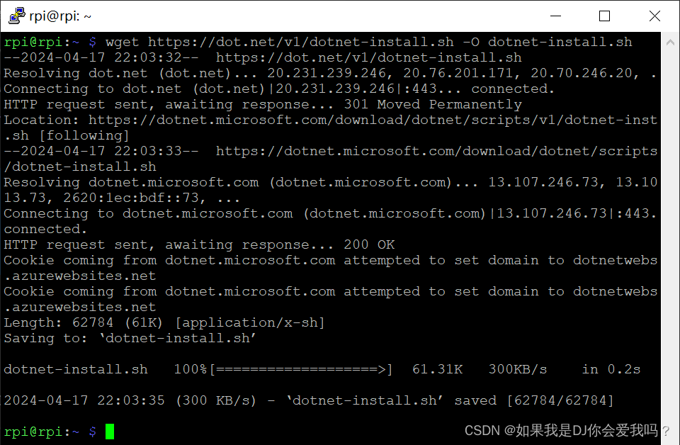 Linux 学习记录（2）-安装.NET_linux安装netic-CSDN博客