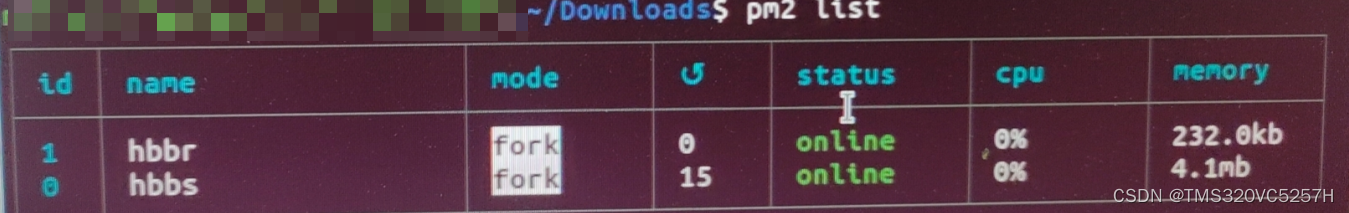使用pm2安装、启动和停止rustdesk-server服务-CSDN博客