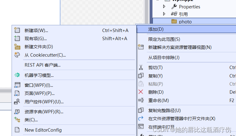 WPF中Image控件的使用（新手小白适用保姆级教学）_wpf image-CSDN博客