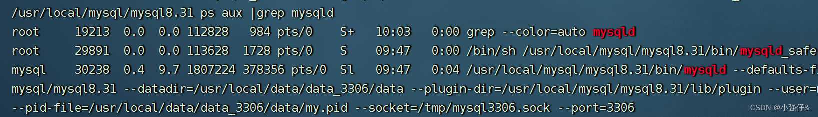 Linux 安装Mysql 8.0.31（亲测有效）_linux怎么部署mysql8-0-31-CSDN博客