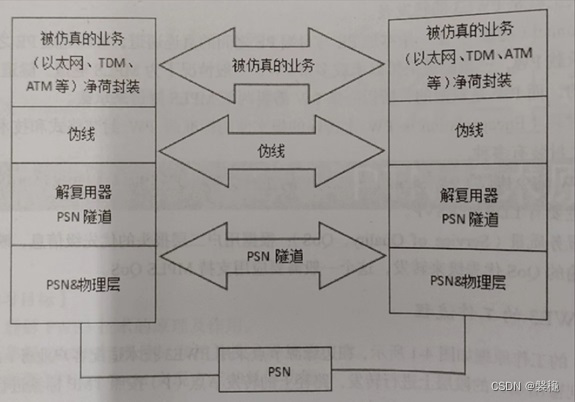 光传输：PTN技术原理_ptn伪线-CSDN博客