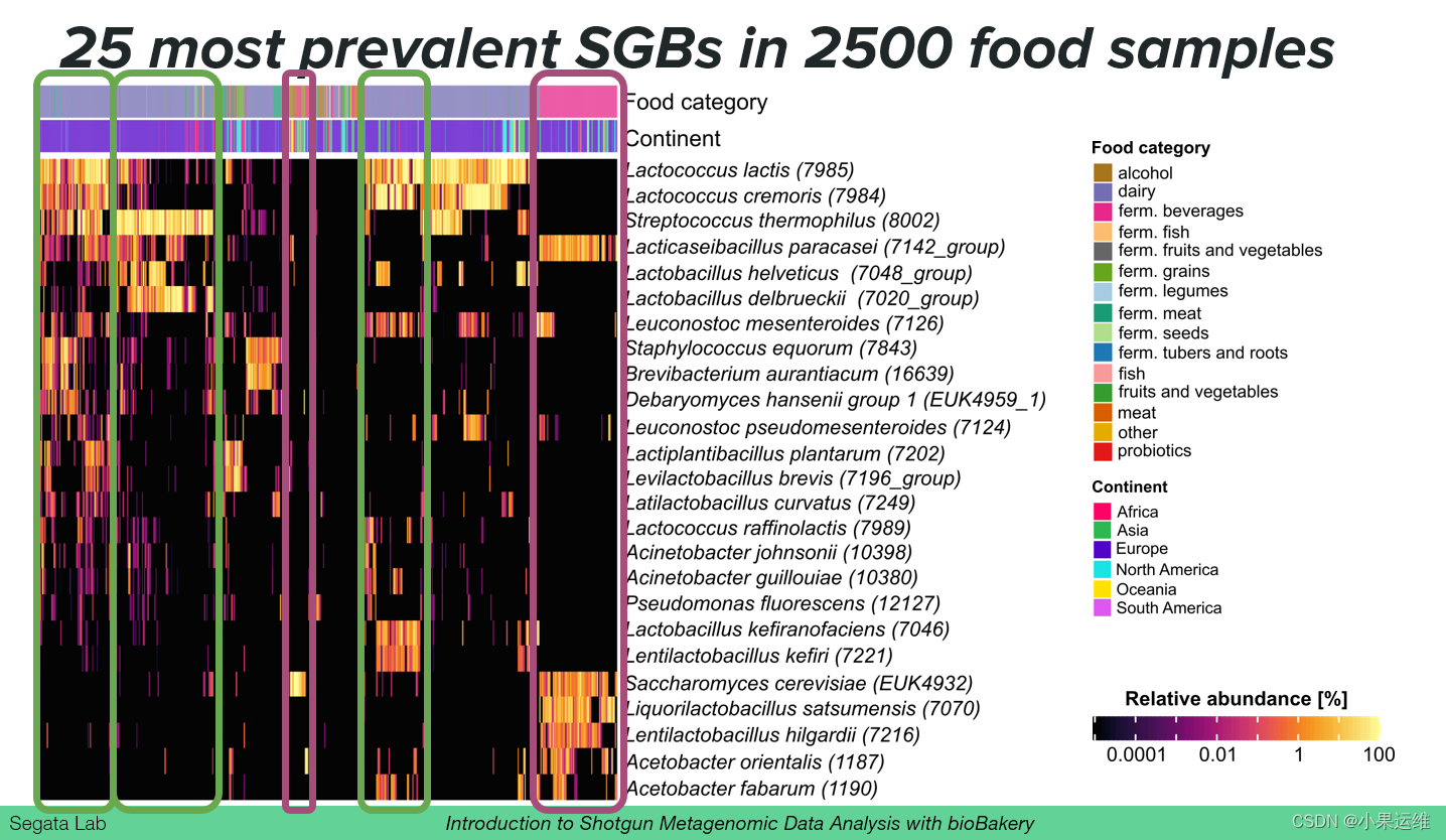WoM2023-Shotgun Metagenomic宏基因组 Data Аnalysis with bioBakery,on MetaPhlAn, StrainPhlAn, and cMD ...