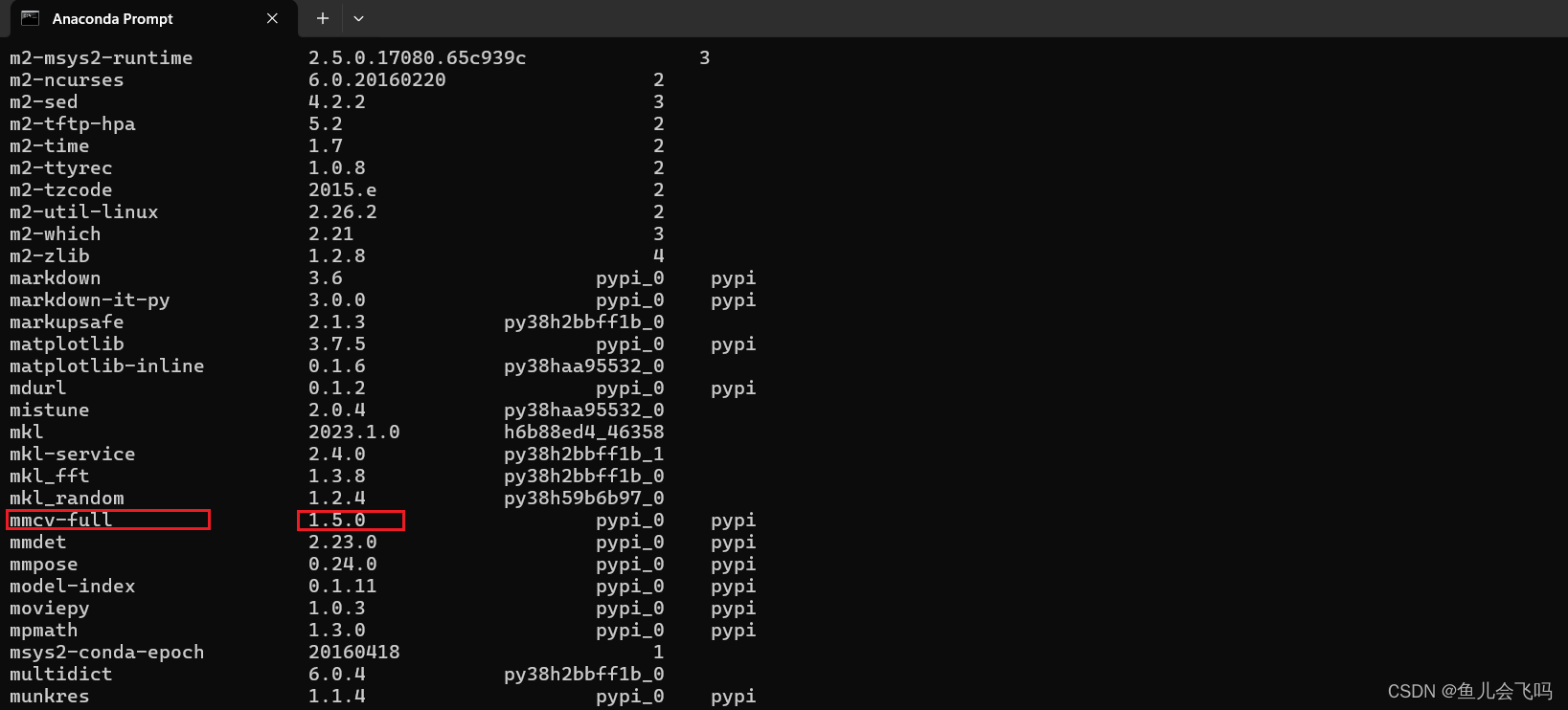 【MMCV】MMCV安装与踩坑-CSDN博客