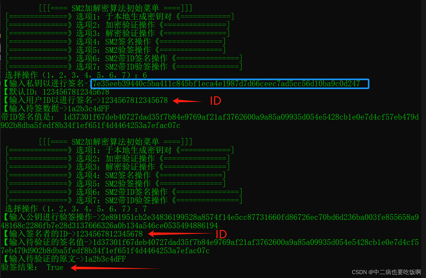 Python Gmssl包实现sm2加解密算法、签名验签算法及带id签名、验签【含资源！见页首】python Gmssl 加签 Csdn博客