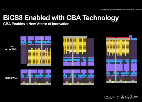 西部数据震撼发布：全球最高容量2Tb 3D QLC闪存芯片，引领SSD存储新时代_西部数据单颗2tb晶圆-CSDN博客