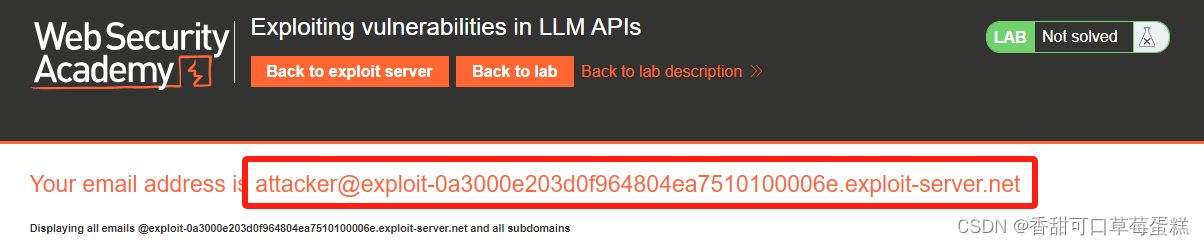 Web LLM 攻击实验：利用 LLM API 实现命令注入-CSDN博客