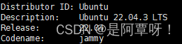 ubuntu 在install时出现failed to fetch 问题_ubuntu failed to fetch-CSDN博客