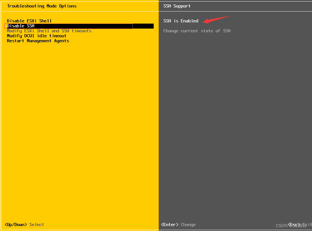 ESXI 主机启用 SSH 连接_esxi ssh-CSDN博客