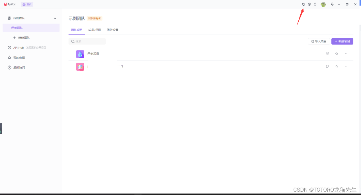 Apifox使用及idea插件集成idea集成apifox Csdn博客