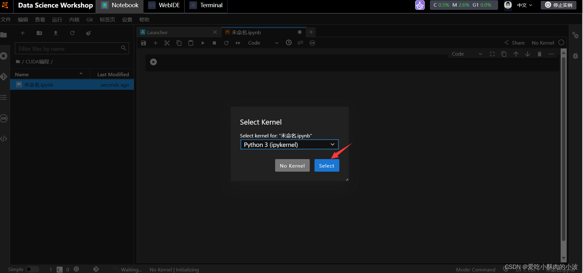 无显卡用google colab或阿里云DSW学CUDA编程的环境配置教程_没有gpu的电脑如何创建cuda的环境-CSDN博客