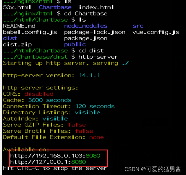 手机端做服务器部署nginx搭建前端网站_termux安装nginx-CSDN博客