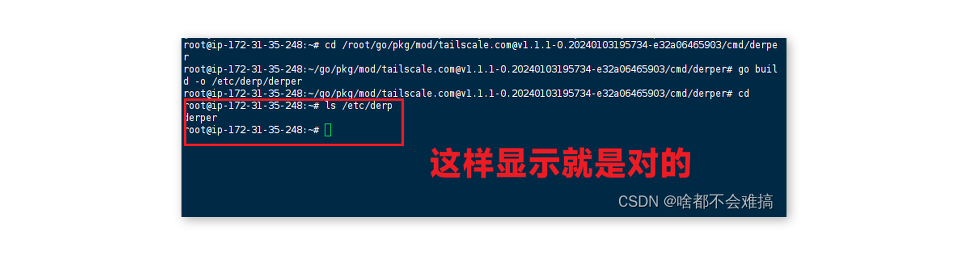 【傻呱呱】Tailscale 搭建derp中继节点（无需域名）_tailscale derp-CSDN博客