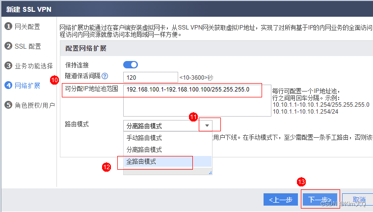 奇安信VPN（网神SSL3600）配置_配奇安信小助手ip-CSDN博客