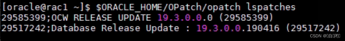 ORACLE19cRAC集群补丁升级_查看grid集群补丁-CSDN博客