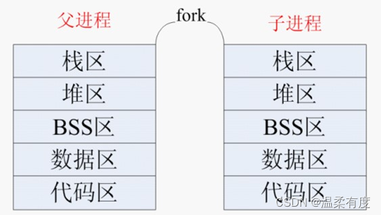 fork函数与vfork函数_fork vfork-CSDN博客