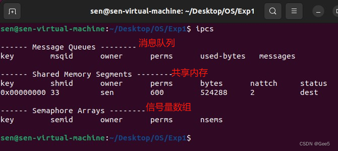 深圳大学操作系统综合实验一_综合1预备1-进程控制-CSDN博客