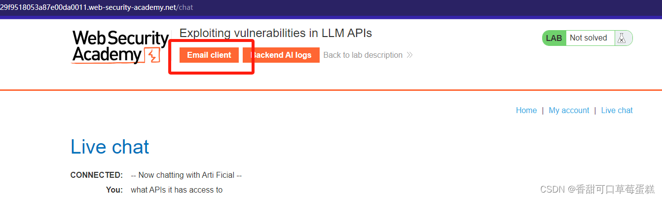 Web LLM 攻击实验：利用 LLM API 实现命令注入_lab: exploiting vulnerabilities in llm apis-CSDN博客