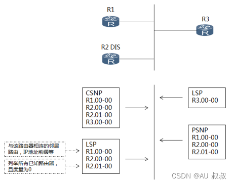 2.5 广播网络LSP交互过程-CSDN博客