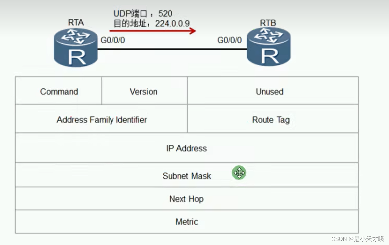 HCIA-RIP基础-CSDN博客