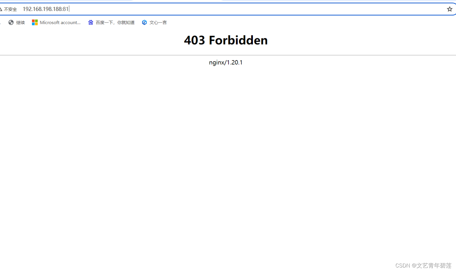 nginx报错403 Forbidden，排查解决_nginx监听80 403forbidden-CSDN博客