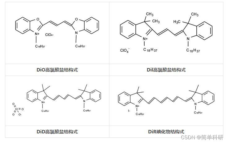 Di系列染料探针（DiO, Dil, DiR, Did）各自化学性质简单介绍_dil标记-CSDN博客