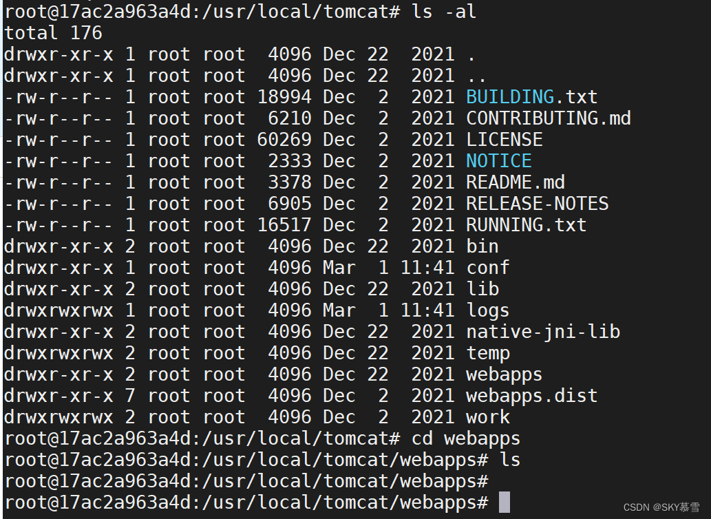 使用docker部署Tomcat_docker应用容器化tomcat-CSDN博客