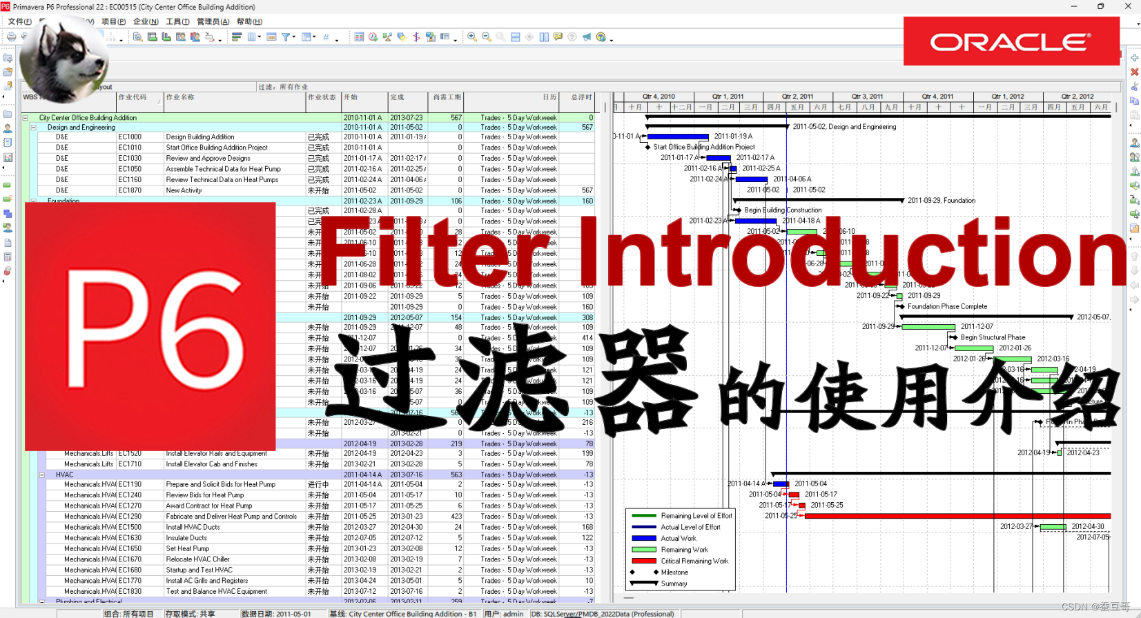 P6技巧：高级过滤器及分组和排序的使用1/2（过滤器Filter）_p6计划过滤日期-CSDN博客