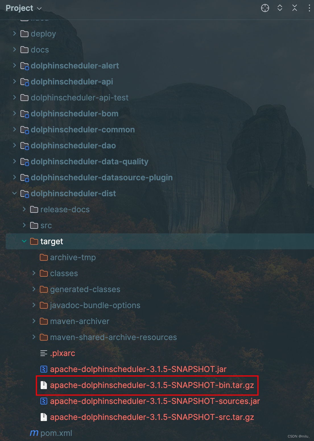 DolphinScheduler分布式调度系统二开 - 编译、打包、部署_dolphinscheduler 二次开发-CSDN博客