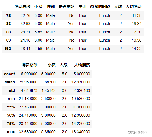 数据分析实战1——小费数据的数据分析实训题对小费数据集进行随机修改后进行预处理 Csdn博客 