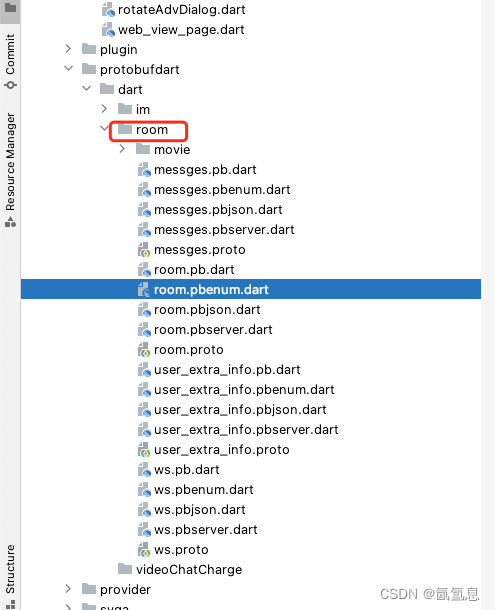 flutter protobuf插件的安装和使用-CSDN博客