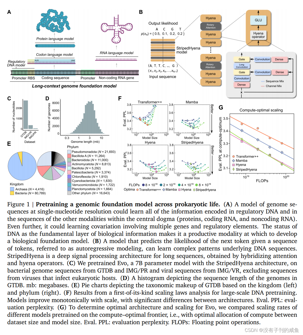 论文阅读笔记(三)——EVO:Sequence modeling and design from molecular to genome scale with Evo-CSDN博客