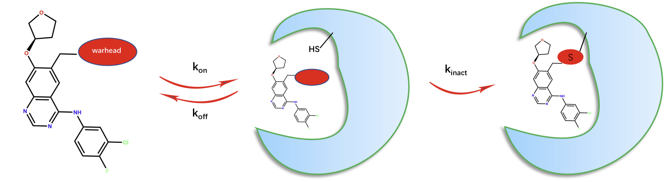 共价对接（Covalent Docking）_hcovdock-CSDN博客