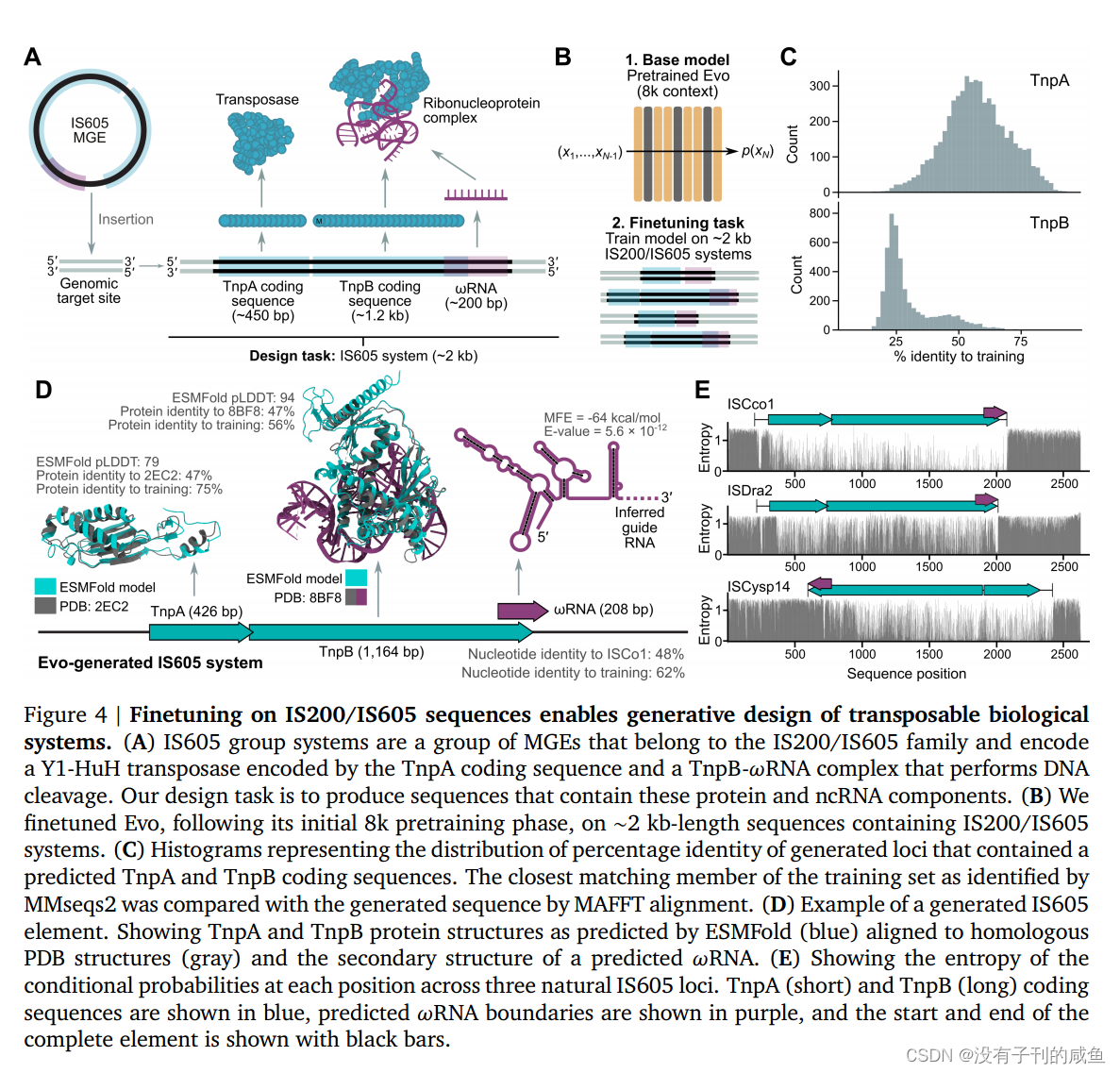论文阅读笔记(三)——EVO:Sequence modeling and design from molecular to genome ...