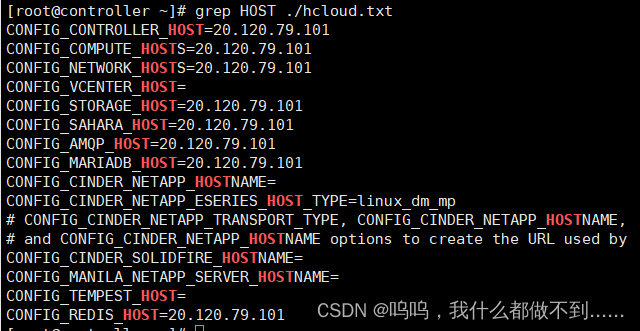 基于PackStack部署多节点的OpenStack（附文档）_packstack怎么配置多个compute-CSDN博客