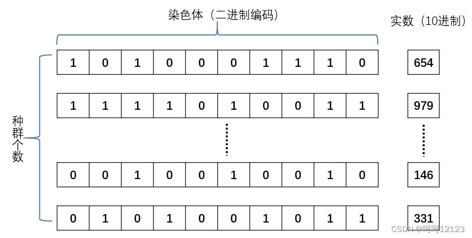 手把手教你如何编写基本遗传算法(simple genetic algorithm，SGA)，用python实现_基础遗传算法代码-CSDN博客