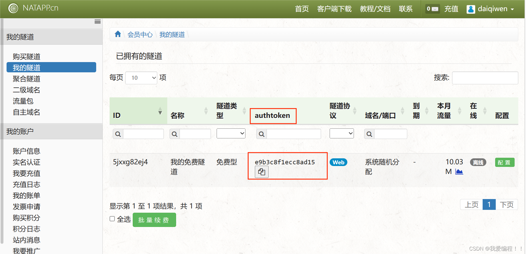 代码外界能访问——natapp内网穿透工具的使用_natapp 使用-CSDN博客