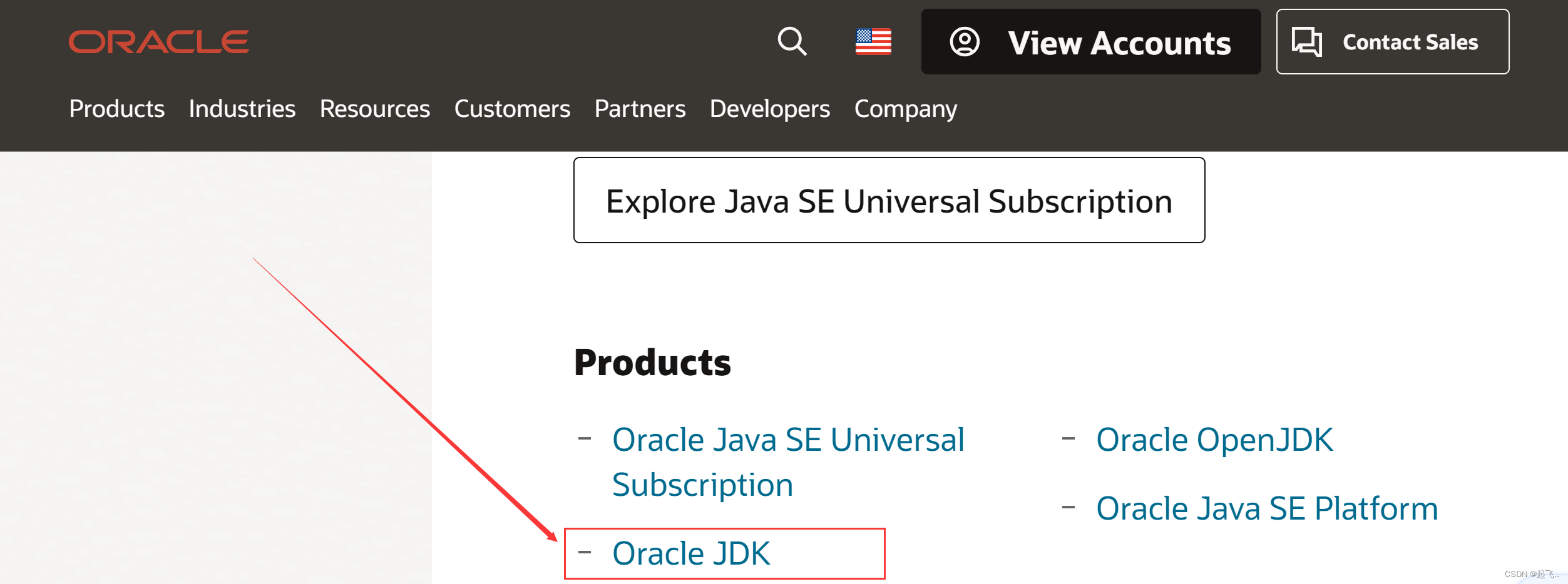JDK1.8的安装与配置整合idea（Windows11,2023年最新版）_idea java1.8环境配置-CSDN博客