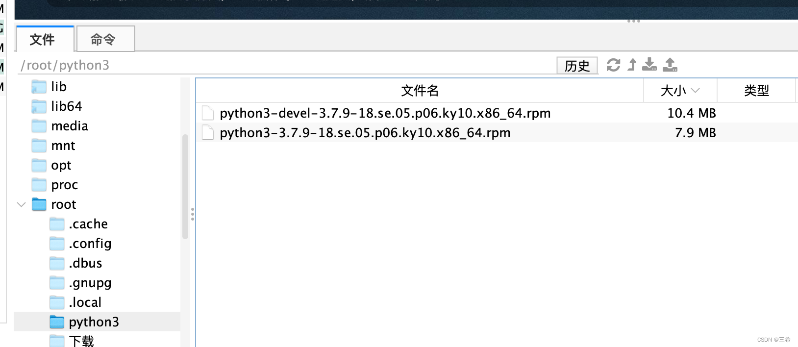 ky10-server 下载离线安装包（python3作为例子展示）-CSDN博客