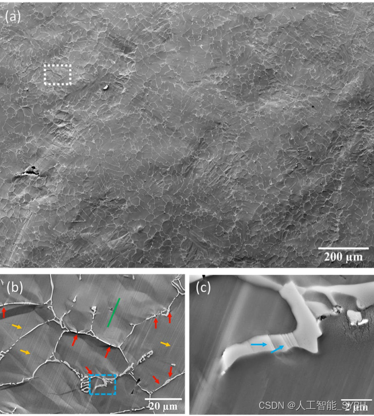 YOLOv5改进策略|YOLO模型优化| YOLOv5损伤分析、金属间化合物 Mg-Al-Ca 复合材料损伤形成的 速率依赖性-CSDN博客