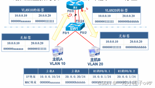 零基础学习计算机——配置“VLAN”实验操作_交换机配置vlan步骤-CSDN博客