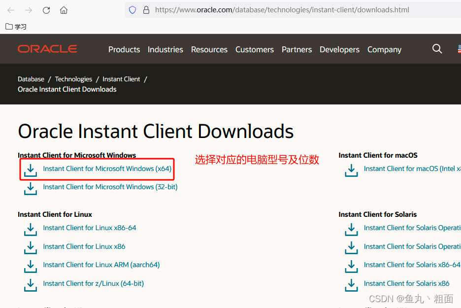 Navicat 连接 Oracle 报错:ora 28547:connection To Server Failed,probable Oracle Net Admin Error